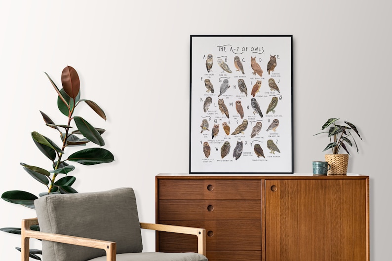 A-Z of Owls Poster, Owls Alphabet, Types of Owls Poster Illustration ...
