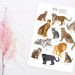 Big Cats Poster, Jungle Cats, Jungle Print, Wild Cats Print, Big Cats ...