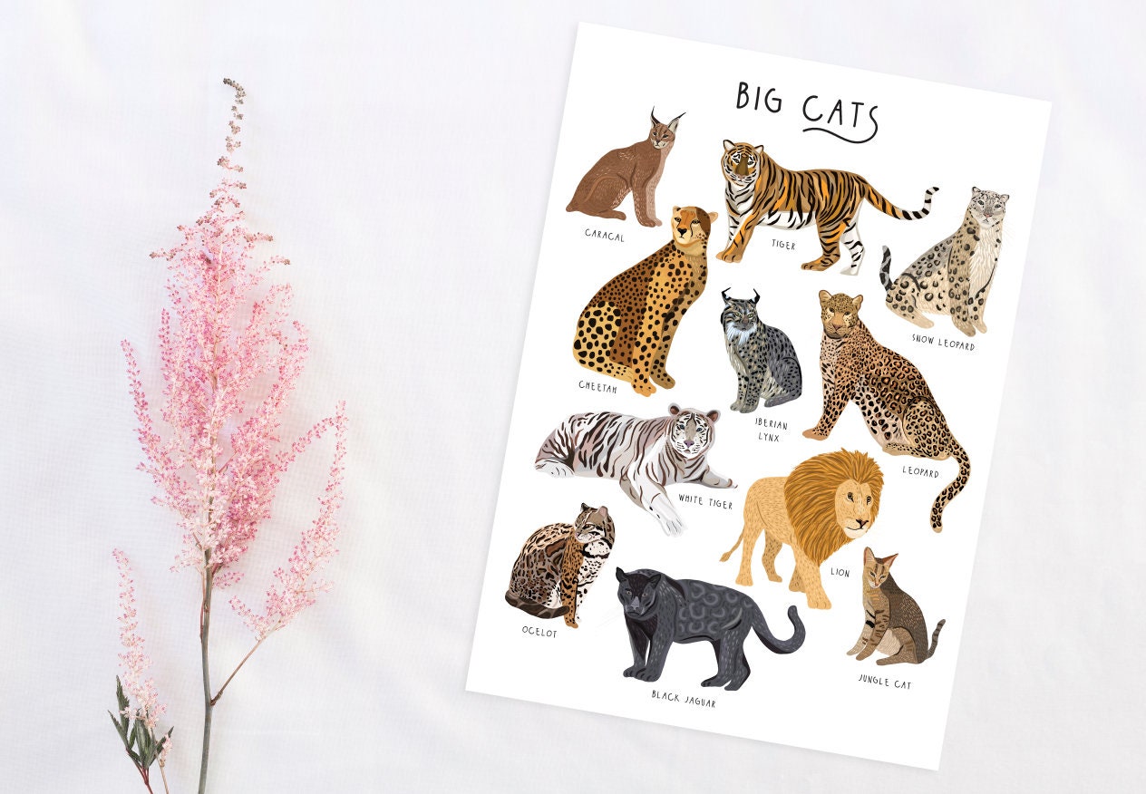 Big Cats Poster Jungle Cats Jungle Print Wild Cats Print - Etsy Canada