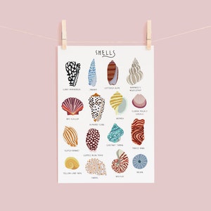 Sea Shells Illustration, Seaside Poster, Shells Identification Print ...