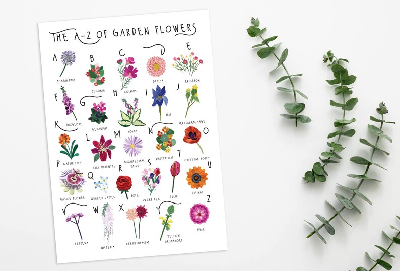 A-Z of Garden Flowers, Botanical Print, Flower Print, British Flora ...