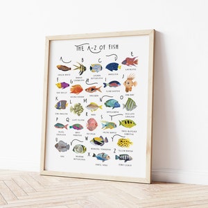 A-Z of Fish Poster, Types of Fish, Nautical Print, Nautical Nursery Art ...