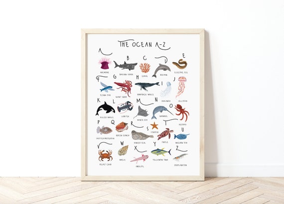 Ocean Sea Creatures Posters