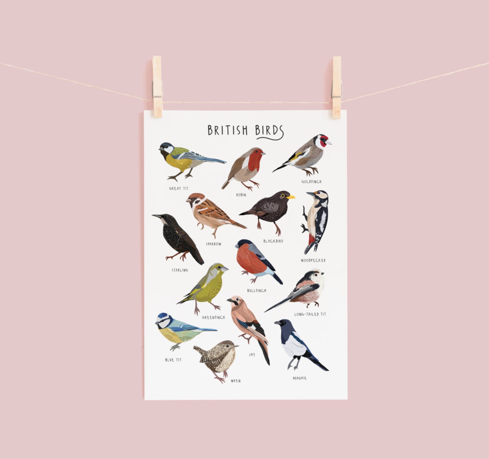 British Birds Poster Bird Identification Print Natural | Etsy UK