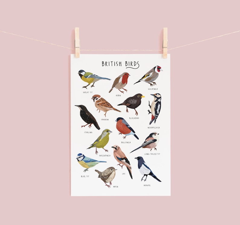 British Birds Poster Bird Identification Print Natural | Etsy UK