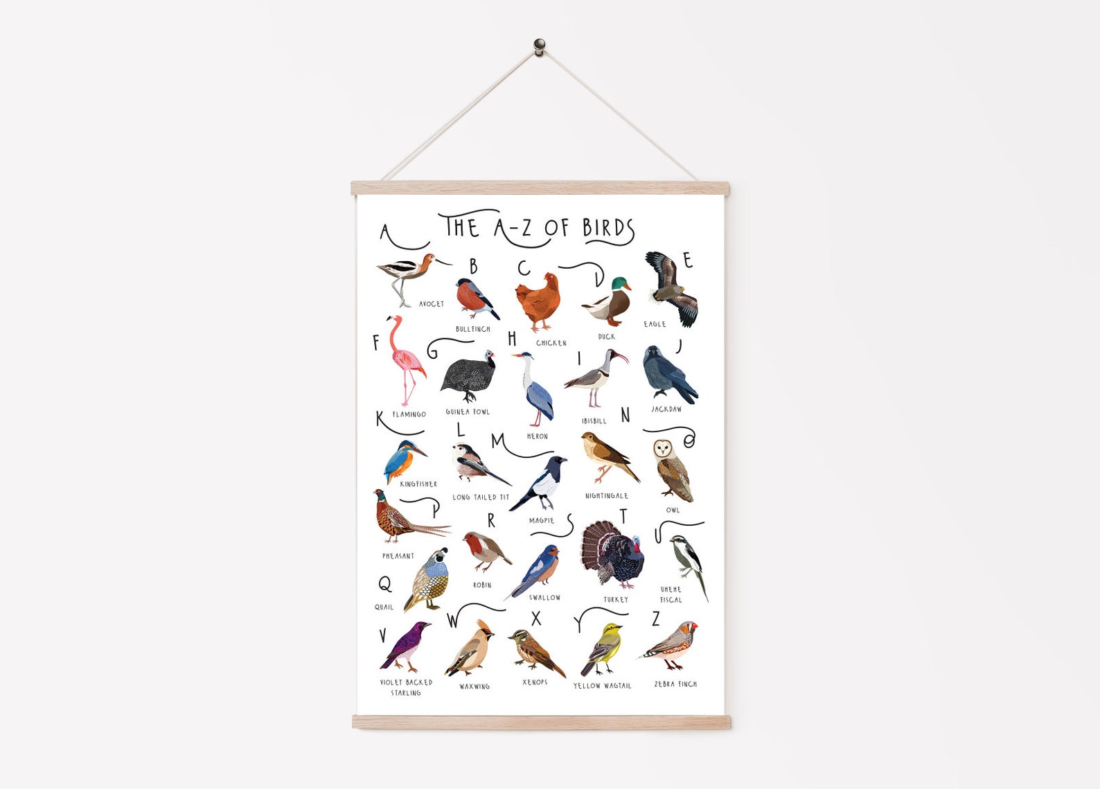 A-Z of Birds Poster Bird Species Print Bird Poster Bird | Etsy