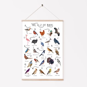 A-Z of Birds Poster, Bird Species Print, Bird Poster, Bird Lovers Gift ...