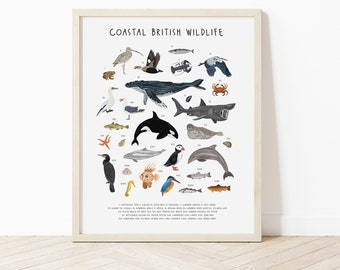 Wildlife Poster | Etsy
