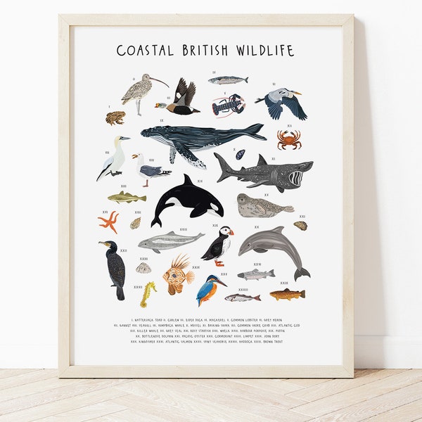 Wildlife Poster - Etsy UK