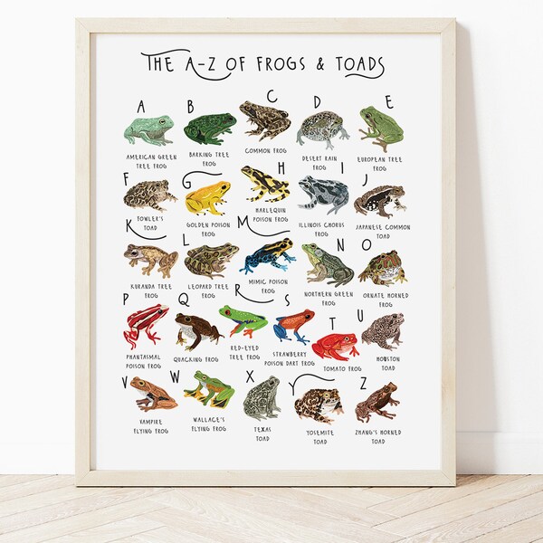 Frog Poster - Etsy Canada