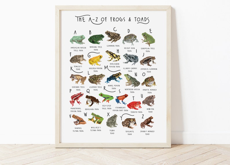 A-Z of Frogs & Toads Poster Frogs Alphabet Types of Frogs - Etsy UK