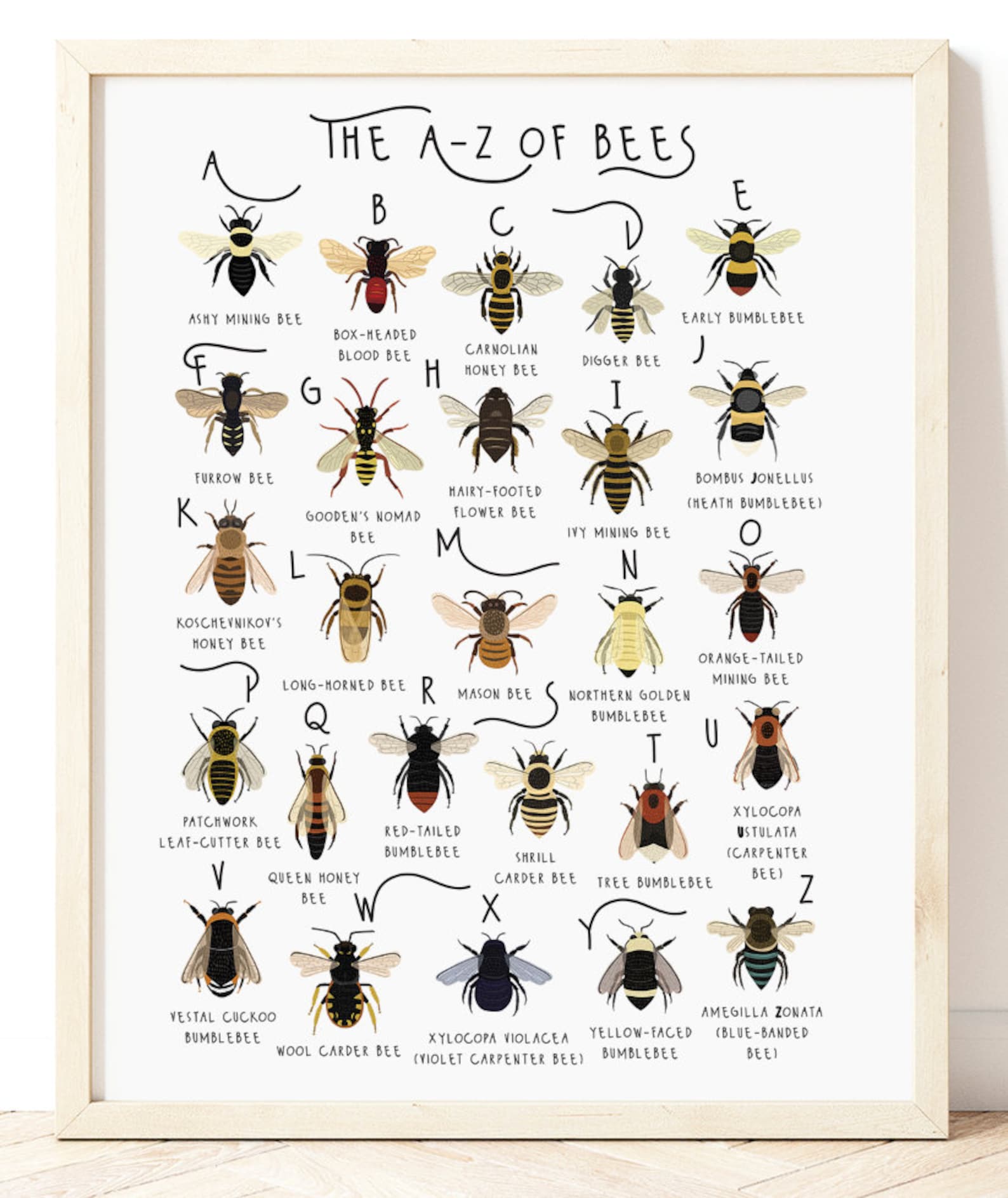 A-Z of Bees Bee Print Types of Bees Art Alphabet Poster - Etsy UK