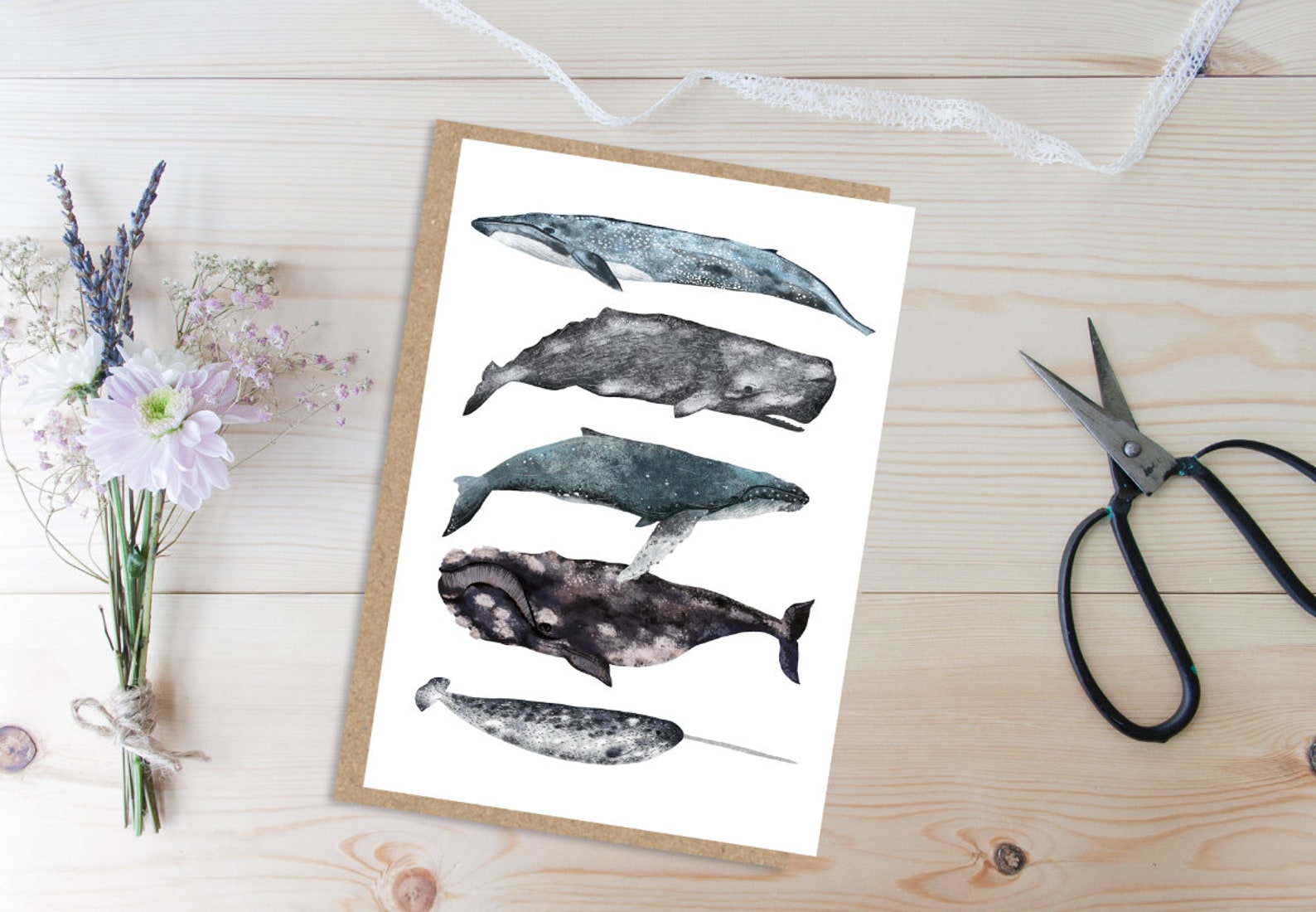 Whales Card, Whales Stack, Nautical Card, Any Occasion Card, Sea ...