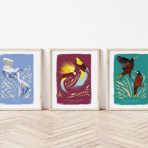 Any 3 Bird Posters, Mix and Match Print Deal, Bird Illustrations, Bird ...