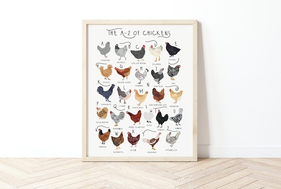 A-Z Von Hühnern Poster Huhn Druck Hühnerrassen Kunst - Etsy.de