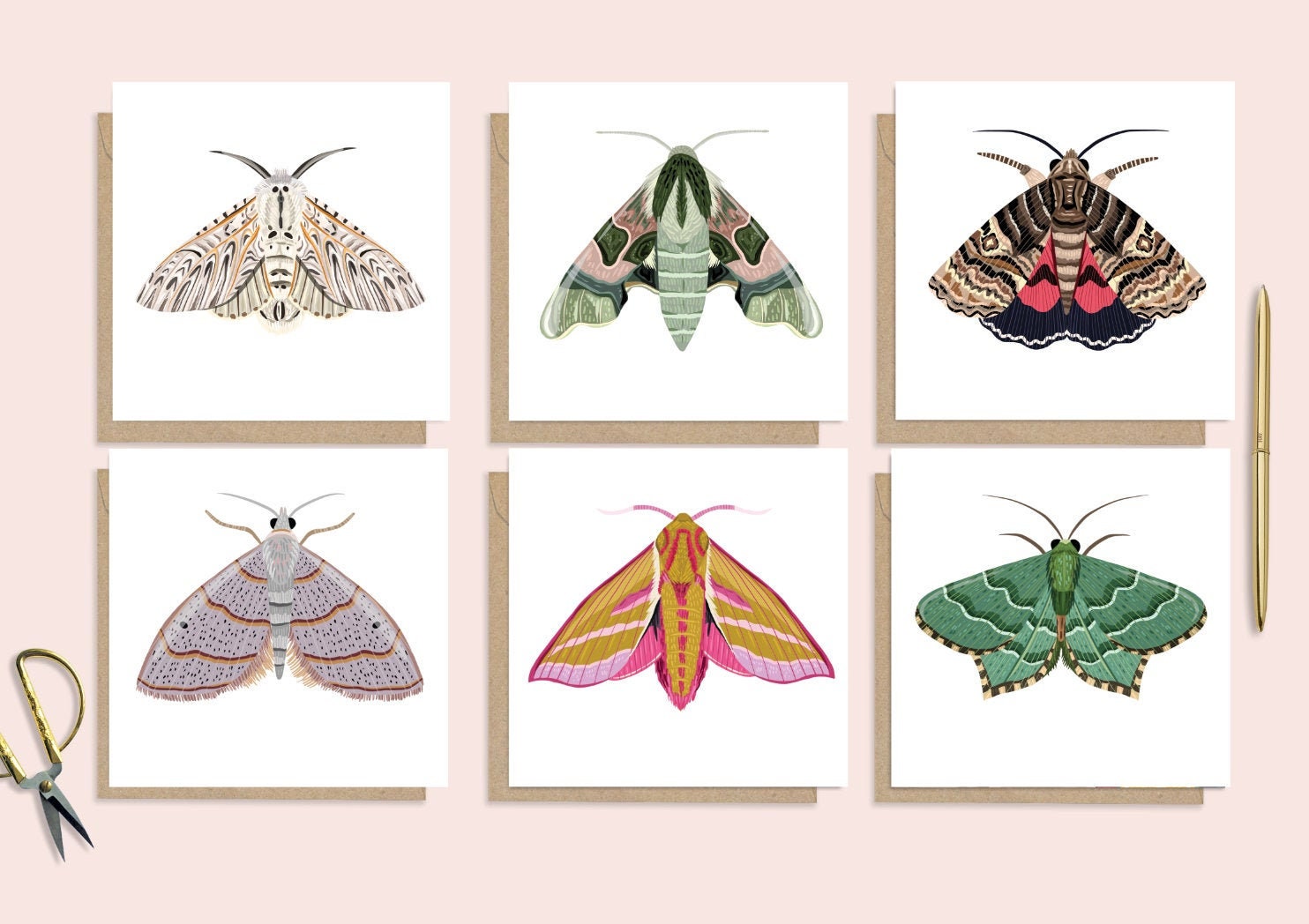 Set of 6 Moth Cards Types of Moths Cards Beautiful Moth - Etsy UK