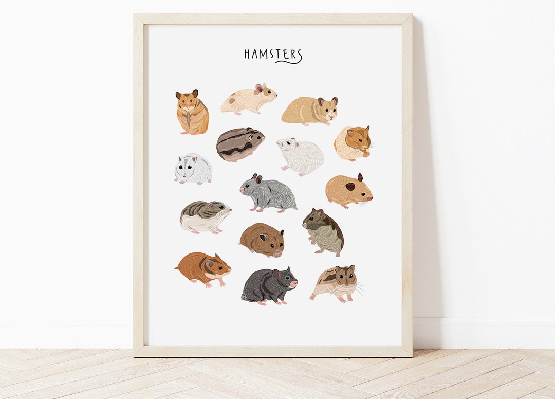 Hamsters Poster, Hamsters Illustration, Pet Hamsters, Hamsters Lover ...