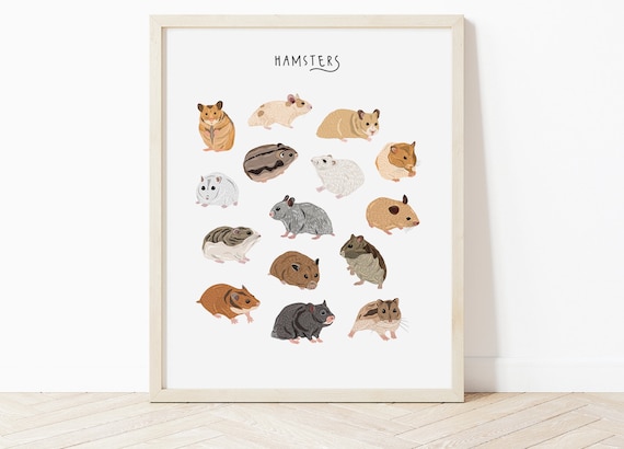 Hamsters Poster Hamsters Illustration Pet Hamsters Hamsters | Etsy