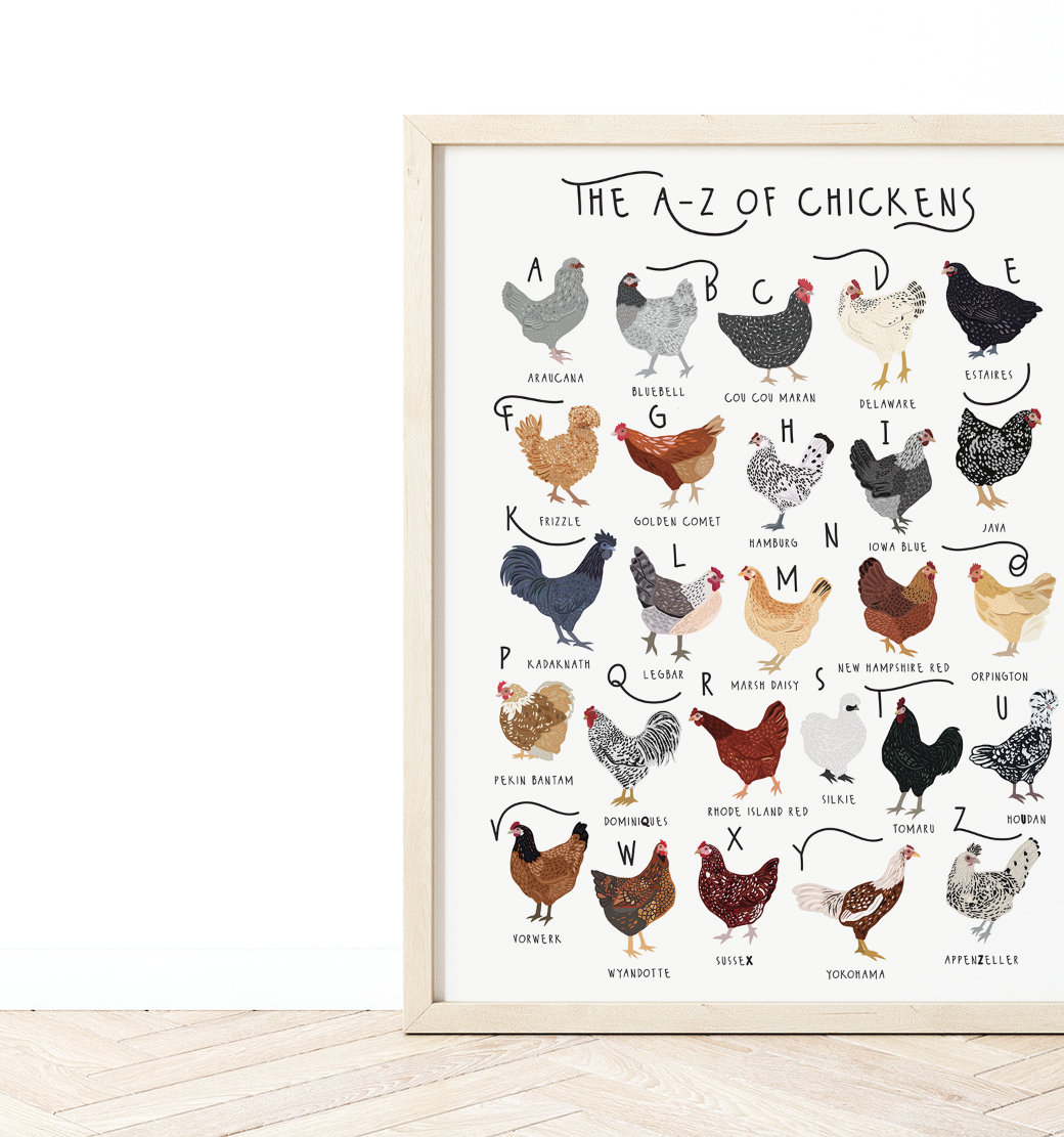 A-Z of Chickens Poster, Chicken Print, Chicken Breeds Art, Alphabet ...