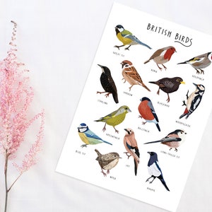 British Birds Poster, Bird Identification Print, Natural History Poster ...