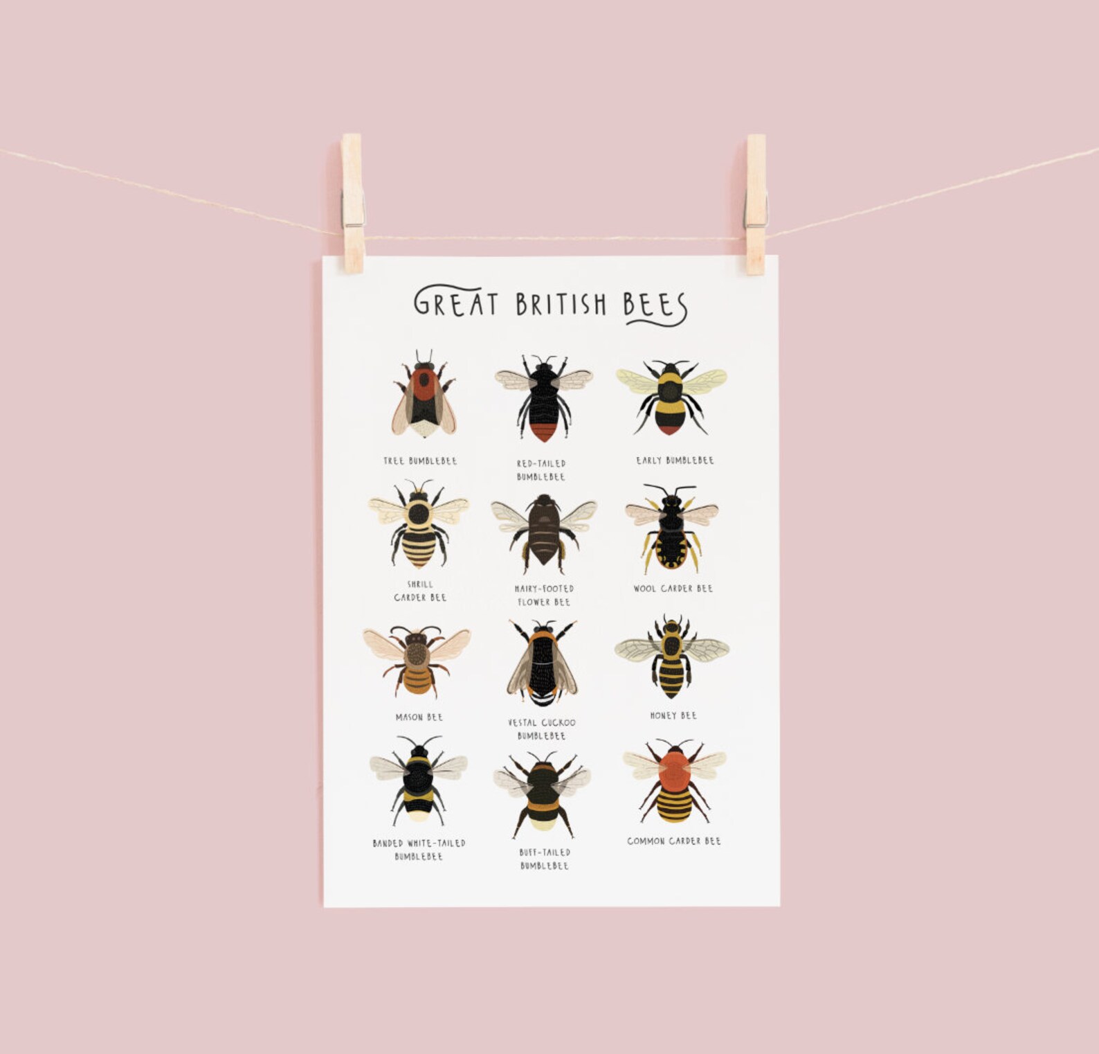 Great British Bees Bumblebee Print Bee Poster Bee - Etsy UK