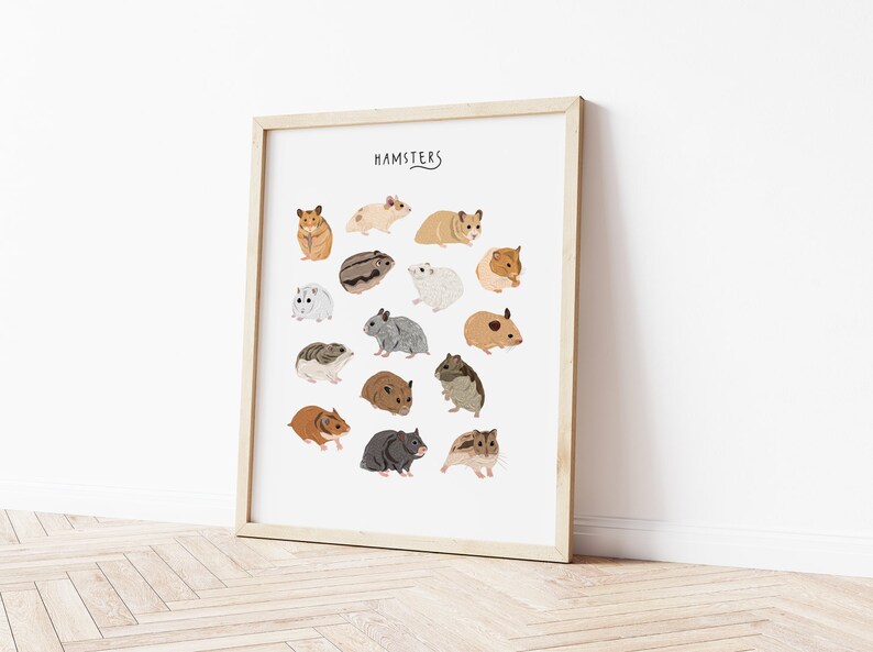 Hamsters Poster, Hamsters Illustration, Pet Hamsters, Hamsters Lover ...