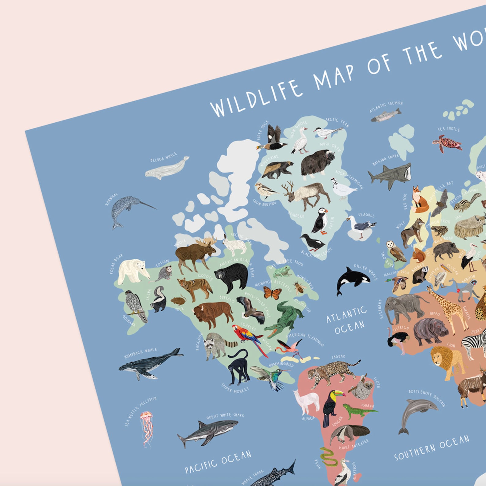Wildlife Map of the World Wildlife map print world map | Etsy