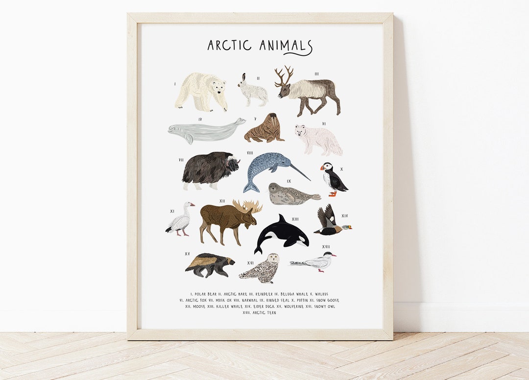 Arctic Animals Poster, Nursery Wall Art, Animal Poster, Arctic Animals ...