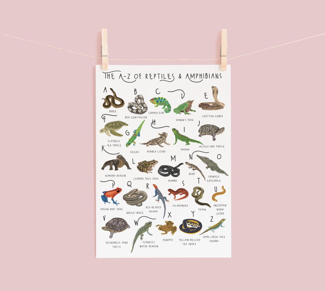 A-Z of Reptiles & Amphibians Poster, Alphabet Print, Reptiles and ...