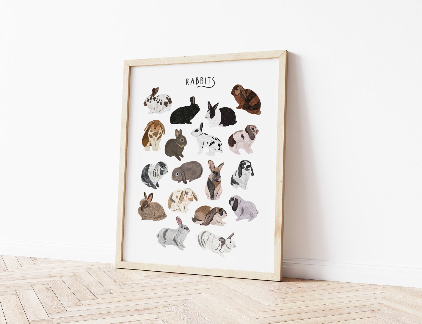 Rabbits Poster Types of Rabbits Pet Rabbits Gift Rabbits | Etsy