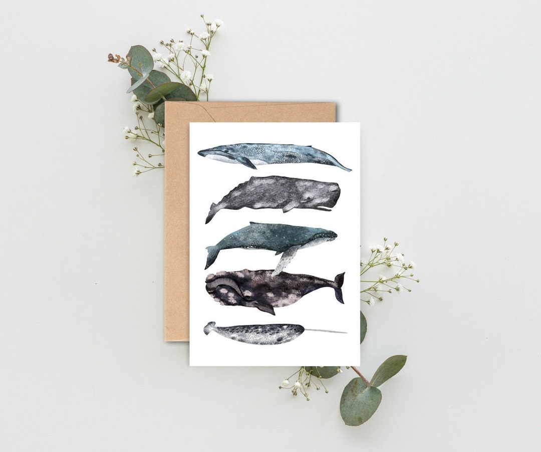 Whales Card, Whales Stack, Nautical Card, Any Occasion Card, Sea ...