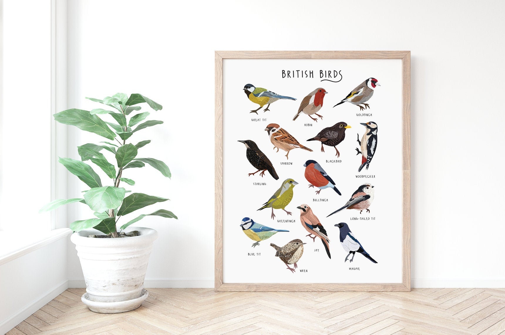 British Birds Poster, Bird Identification Print, Natural History Poster ...