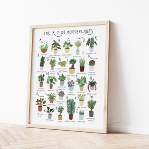 A-Z of Houseplants, Plant Poster, House Plants Print, Alphabet Print ...