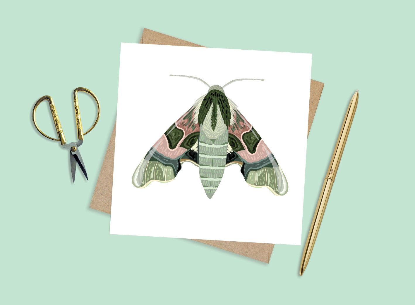 Set of 6 Moth Cards Types of Moths Cards Beautiful Moth | Etsy UK