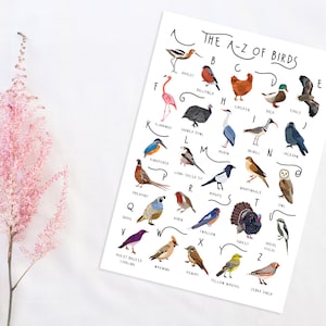 A-Z of Birds Poster, Bird Species Print, Bird Poster, Bird Lovers Gift ...