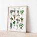 House Plant Poster, House Plant Print, Plants Poster, House Plant ...