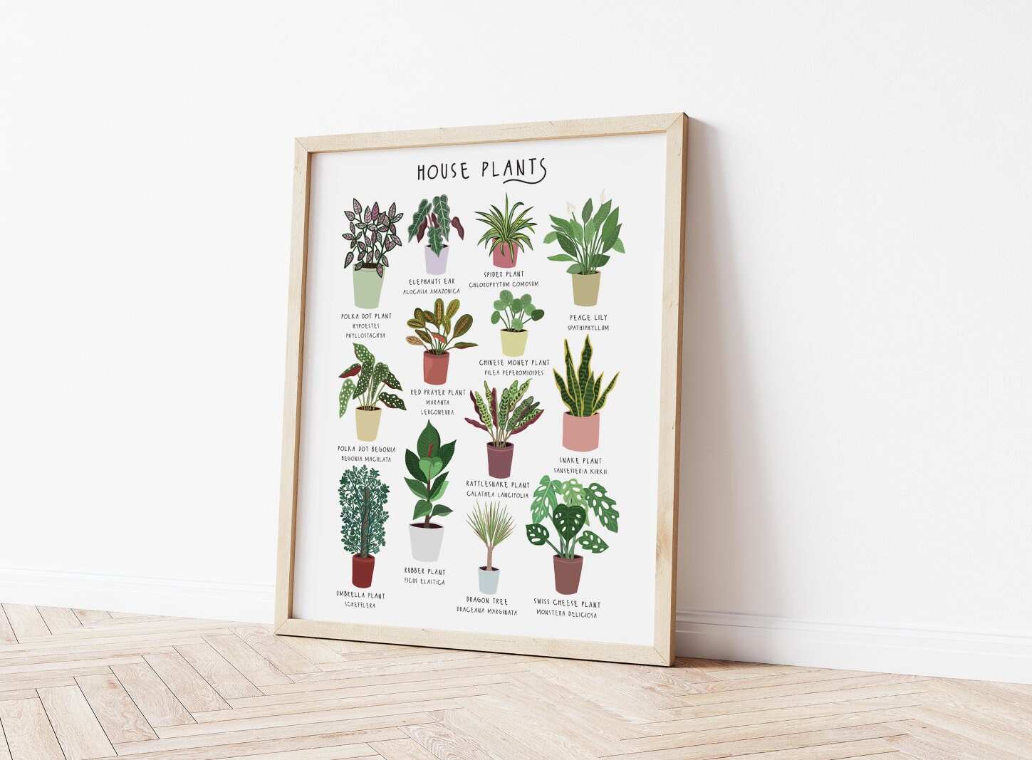 House Plant Poster House Plant Print Plants Poster House - Etsy UK