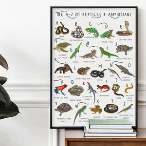 A-Z of Reptiles & Amphibians Poster, Alphabet Print, Reptiles and ...