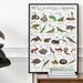 A-Z of Reptiles & Amphibians Poster, Alphabet Print, Reptiles and ...