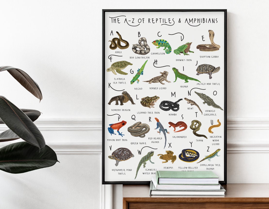 A-Z of Reptiles & Amphibians Poster, Alphabet Print, Reptiles and ...