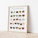 A-Z of Butterflies Poster, Types of Butterflies, Butterflies Poster ...