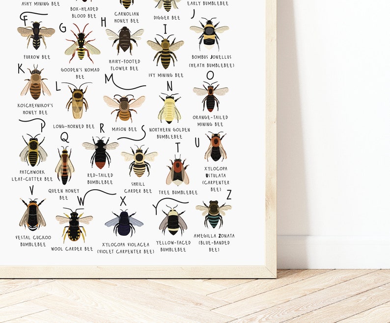 A-Z of Bees Bee Print Types of Bees Art Alphabet Poster - Etsy UK