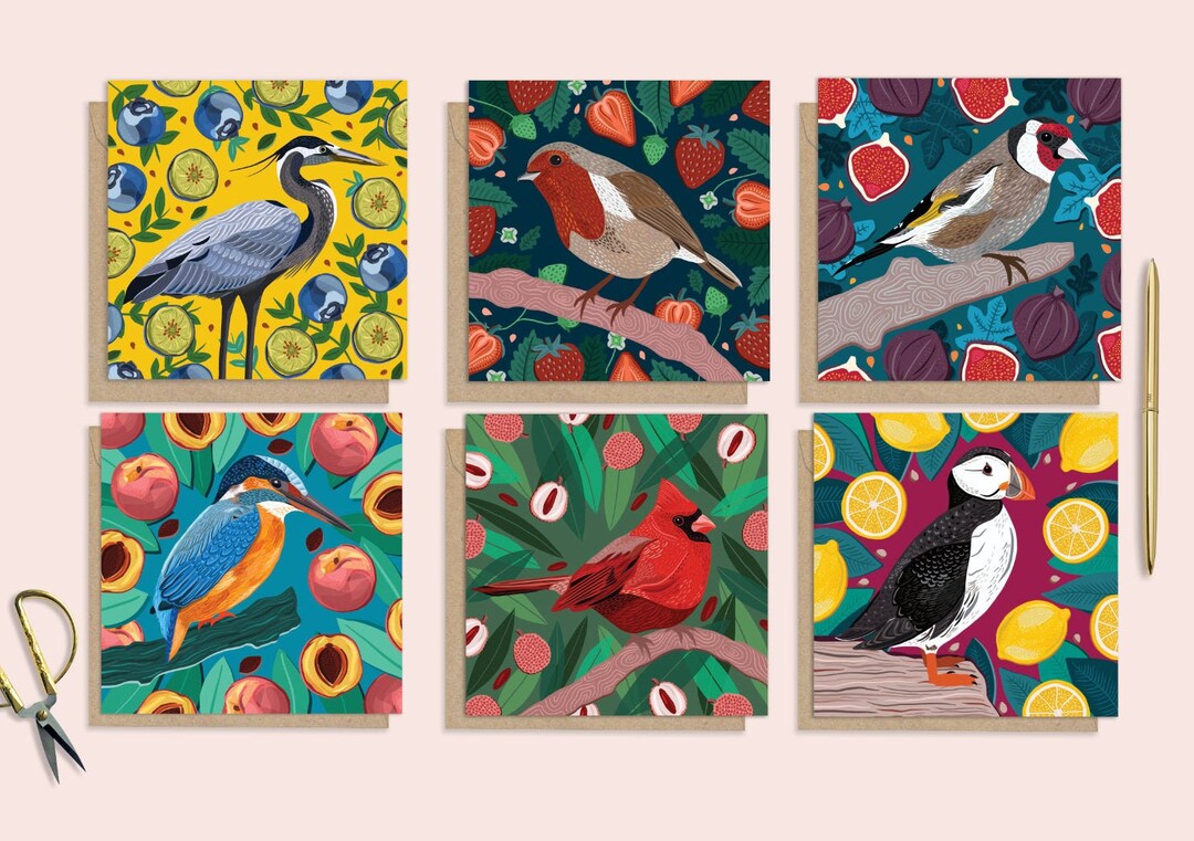 Set of 6 Bird Cards, Illustrated Bird Cards, Colourful Bird Cards, Bird ...