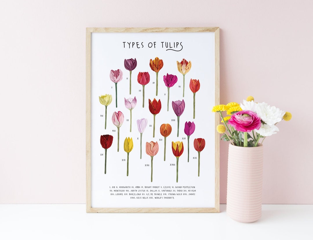 Tulips Print, Types of Tulips Poster, Flower Print, Flower ...