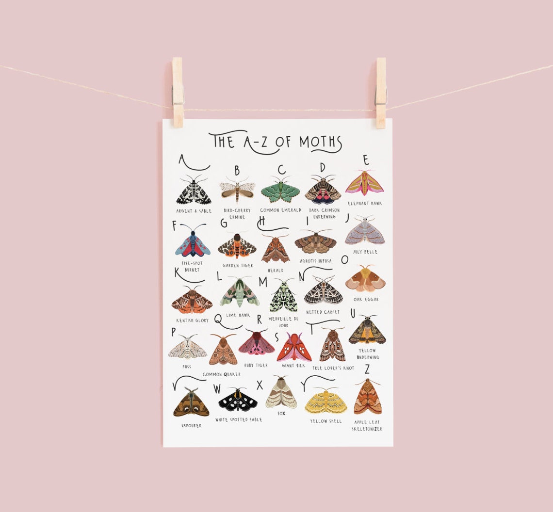 A-Z of Moths Alphabet Print Types of Moths Poster Beautiful | Etsy