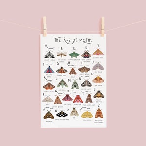 A-Z of Moths, Alphabet Print, Types of Moths Poster, Beautiful Moths ...