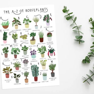A-Z of Houseplants, Plant Poster, House Plants Print, Alphabet Print ...