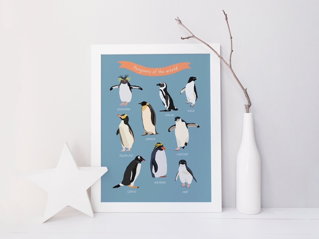 Illustrated Penguins Poster, Types of Penguins, Penguin Print, Penguin ...