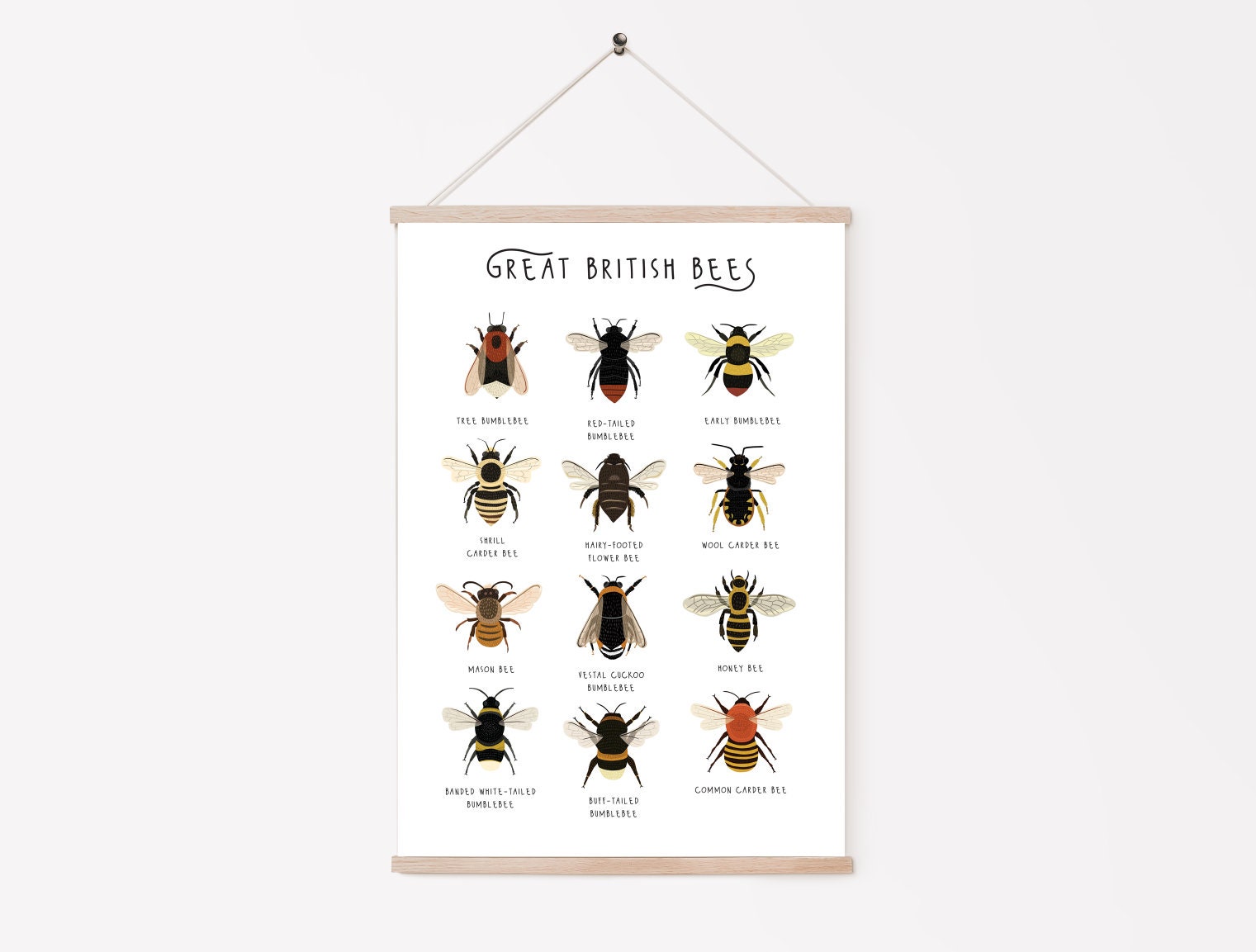 Great British Bees, Bumblebee Print, Bee Poster, Bee Identification ...