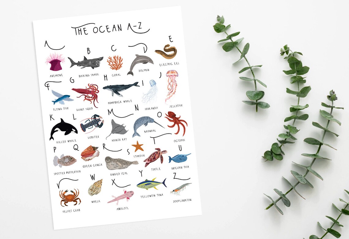 Ocean A-Z Print Ocean Animals Poster Nursery Ocean Decor - Etsy